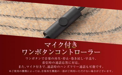 マイク付きハイレゾ有線イヤホン final E1000C RED | 神奈川県川崎市 | KABU&ふるさと納税 | 株がもらえるカブアンド