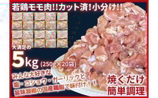 カット済！味付き！若鶏小分けもも切身 5kg (250g×20袋) | 香川県善通寺市 | KABU&ふるさと納税 | 株がもらえるカブアンド