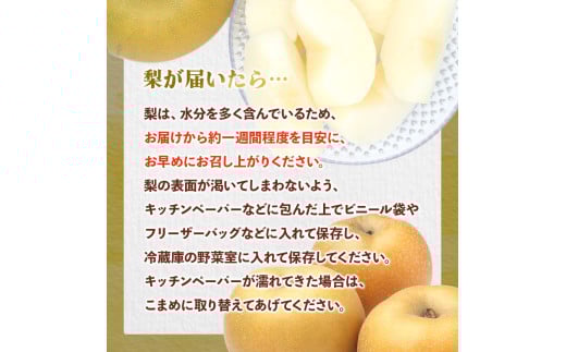 九州・福岡フルーツ王国八女 お楽しみ旬のフルーツ定期便【全3回】｜＜配送不可：北海道・沖縄・離島＞ あまおう シャインマスカット 梨 いちご 苺 なし 果物 先行予約 | 福岡県八女市 ...