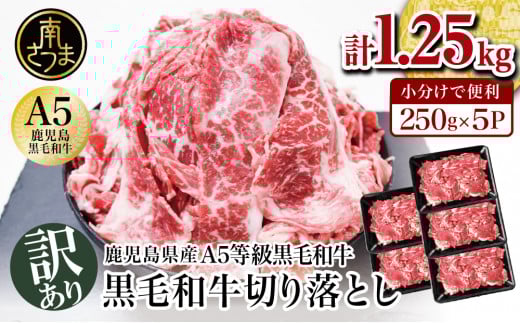 【訳あり】鹿児島県産 A5等級黒毛和牛切落し 計1.25kg（250g×5P） 国産牛 牛肉 国産 おかず カレー 牛丼 肉じゃが カミチク 切り落とし 小分けパック 冷凍 | 鹿児島県 ...