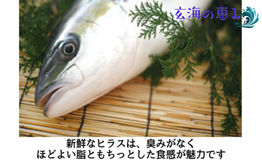 \お歳暮熨斗対応／活締ヒラスフィレ 2枚(1尾分約2kg)( ヒラス 新鮮 海鮮 魚 魚介類 海鮮 )【C8-021】 | 長崎県松浦市 | KABU&ふるさと納税 | 株がもらえるカブアンド