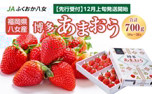 【2024年12月発送開始】博多あまおう700g（化粧箱）｜JAふくおか八女 | 福岡県八女市 | KABU&ふるさと納税 | 株がもらえるカブアンド