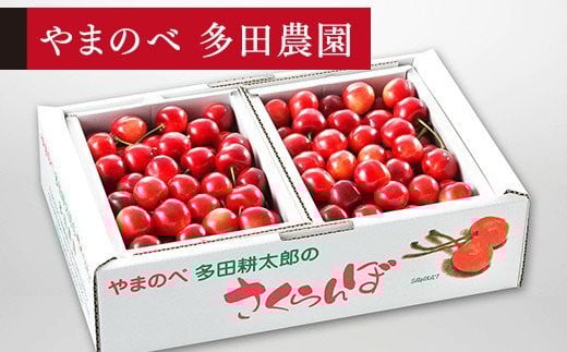 ≪2025年 先行予約≫さくらんぼ 紅さやか バラ詰 1kg (500g×2)「やまのべ多田農園」 F2Y-1367 | 山形県 | KABU&ふるさと納税 | 株がもらえるカブアンド