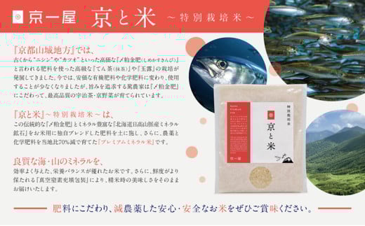 京都府京田辺市産 京と米 ヒノヒカリ 8kg (2kg×4袋) R6年度産 お米 米 こめ コメ 精米 白米 ごはん ご飯 弁当 おにぎり 真空 長期保存 防災 京田辺市 京都府 | 京都府 ...