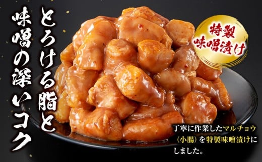 ＜訳アリ＞牛マルチョウ 特製味噌漬け 0.3kg(300g×1）【2026年10月発送】 | 神奈川県川崎市 | KABU&ふるさと納税 | 株がもらえるカブアンド