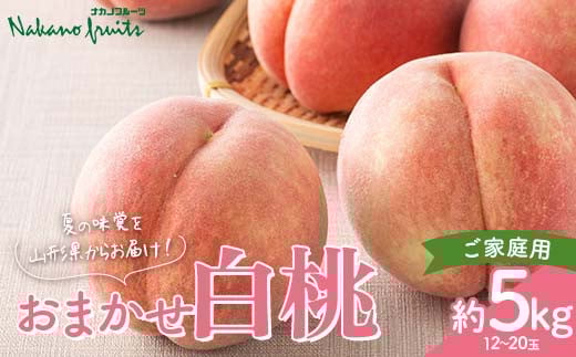 【仲野観光果樹園】≪2025年先行予約≫ご家庭用 山形県産 おまかせ 白桃 約5kg(12～20玉) 2025年8月上旬から順次発送 F2Y-6116 | 山形県 | KABU&ふるさと納税 ...