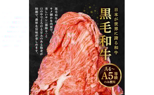 S001-001-T03_02_【定期便3回】A4～A5等級 黒毛和牛 切り落とし1kg（500g×2P）3か月連続お届け【2026年2月発送開始】 | 熊本県天草市 | KABU&ふるさと ...