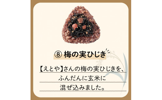 【7営業日以内に発送】9種から選べる！冷凍玄米おむすび 5個入り (8)梅の実ひじき K182-005_08 | 鹿児島県鹿児島市 | KABU&ふるさと納税 | 株がもらえるカブアンド